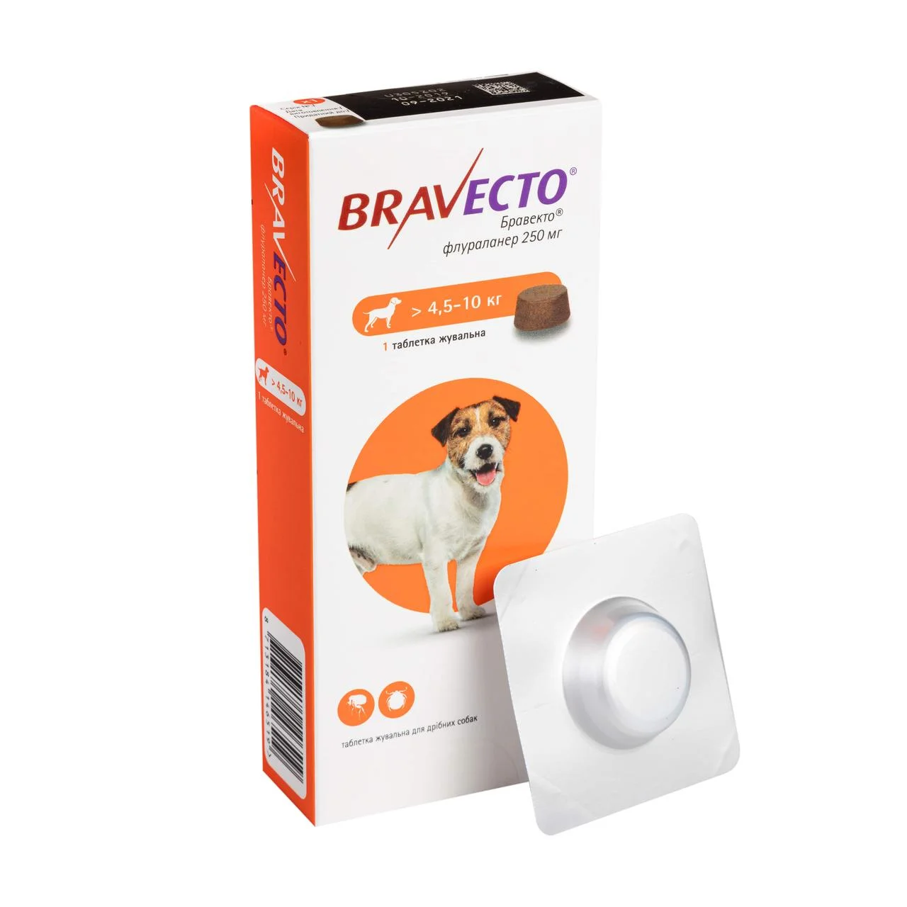 Bravecto - pill for dogs to treat fleas and ticks